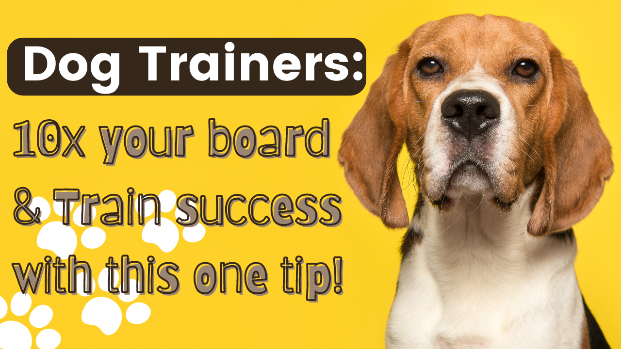 How to 10X Your Board & Train Success Rate – Performance Coaching For ...